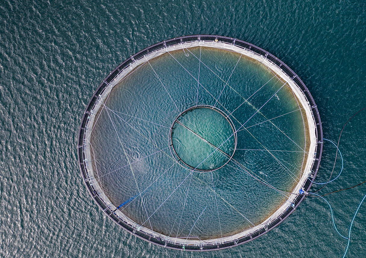 Global Banking and Markets | HSBC